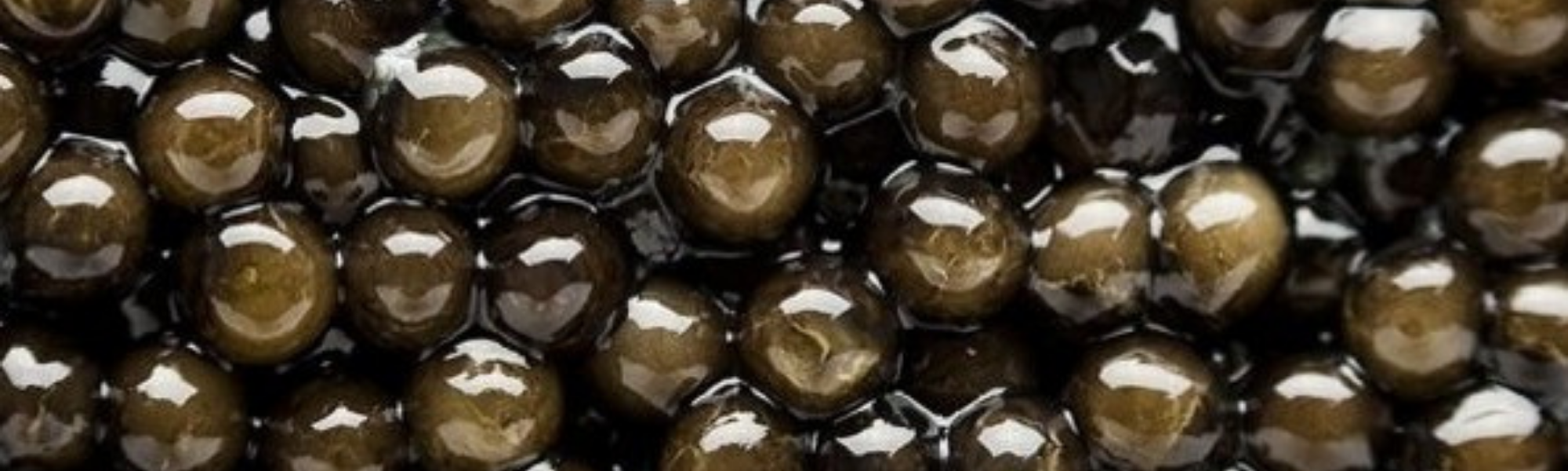 Le CAVIAR - Eulalie, Poissons et Produits de la mer