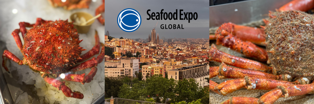 L'araignée de mer : la star du Seafood Expo Global - Eulalie, Poissons ...